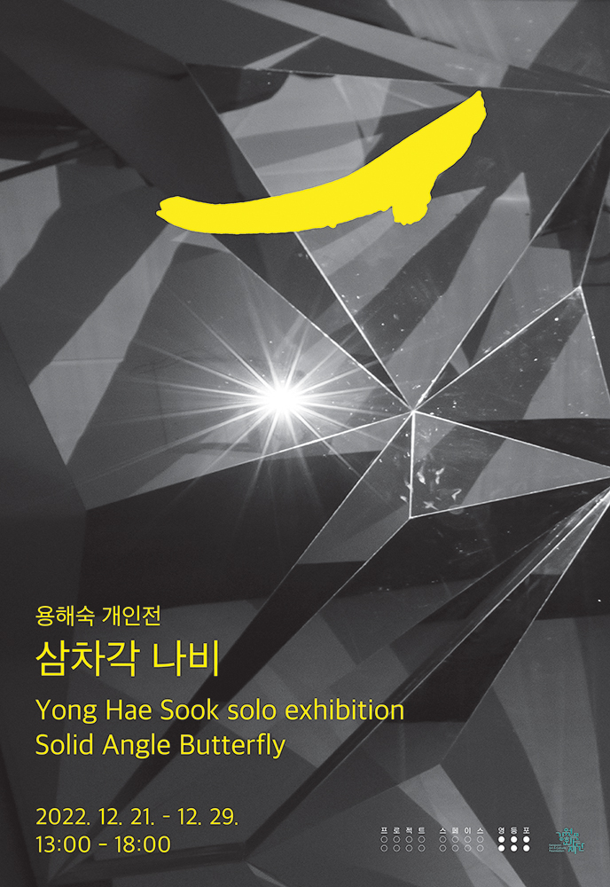 용해숙 개인전: 삼차각 나비 Yong Hae Sook: Solid Angle Butterfly | 아트바바 ARTBAVA