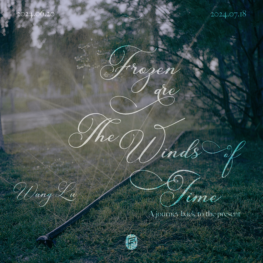 Wang Lu: Frozen are The Winds of Time | 아트바바 ARTBAVA